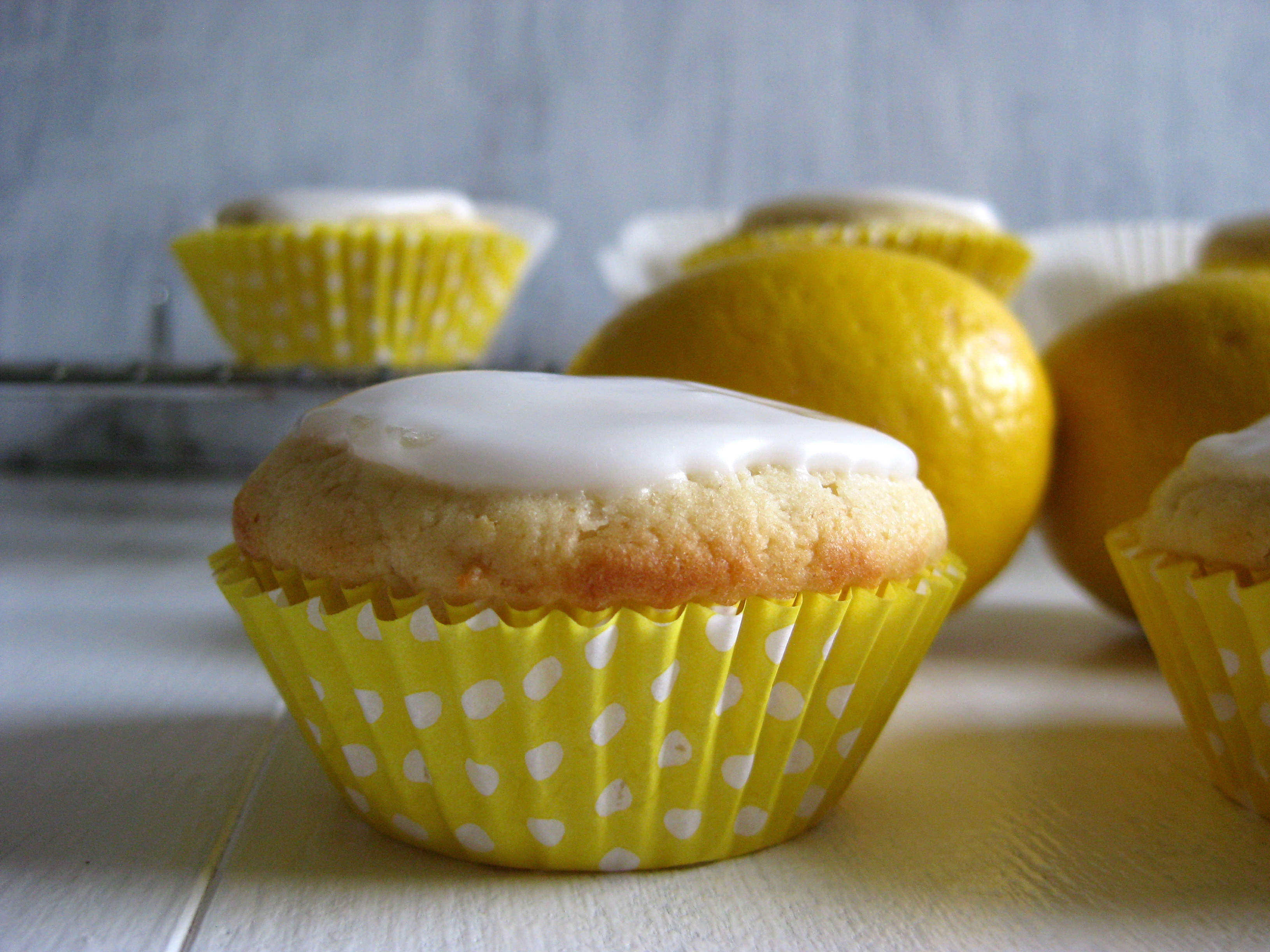 lemon & ricotta cupcakes – tiny kitchen, big appetite