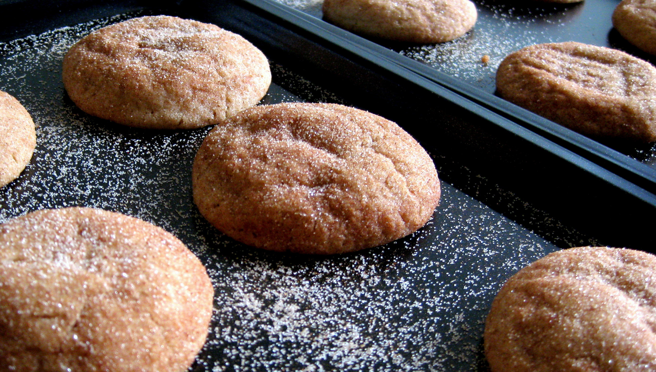 snickerdoodles – tiny kitchen, big appetite